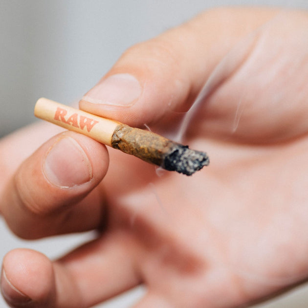 Cannabis for Relaxation – Chicago Cannabis Company